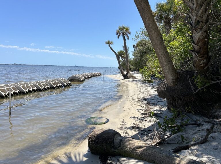 Innovative Coastal Protection & Restoration | Reef Arches