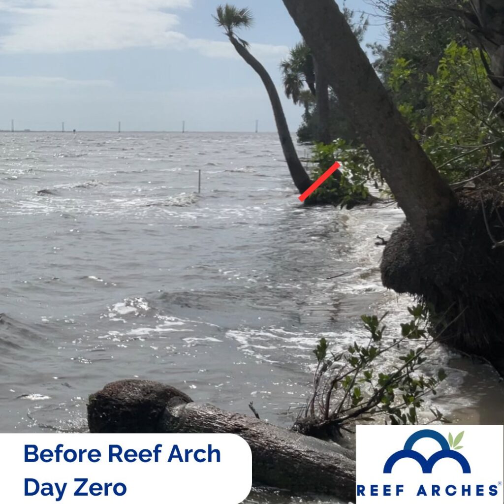 Innovative Coastal Protection & Restoration | Reef Arches